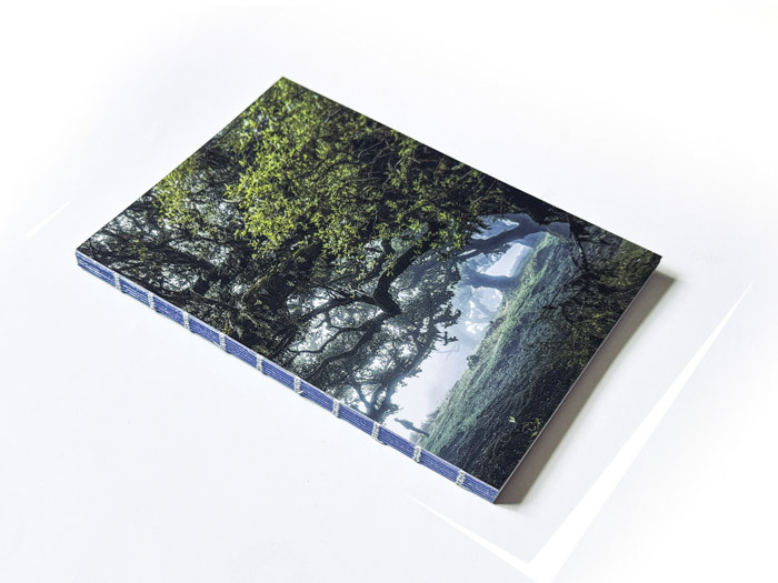 e-shop :: stacho photography